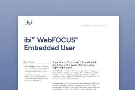 Empower Your Decisions: Dive into Data Insights with ibi WebFOCUS